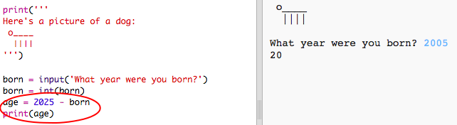 Basic 256 Variable Computer Science Inputoutput