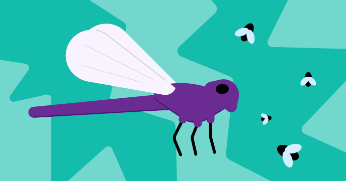 Project path | More Scratch for kids | Raspberry Pi