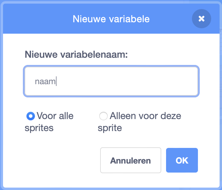 Het pop-upvenster nieuwe variabele met tekstinvoer 'naam'.