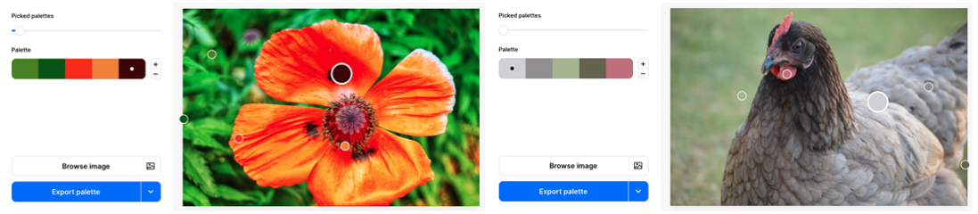 Two examples of images and their matching colour palettes.